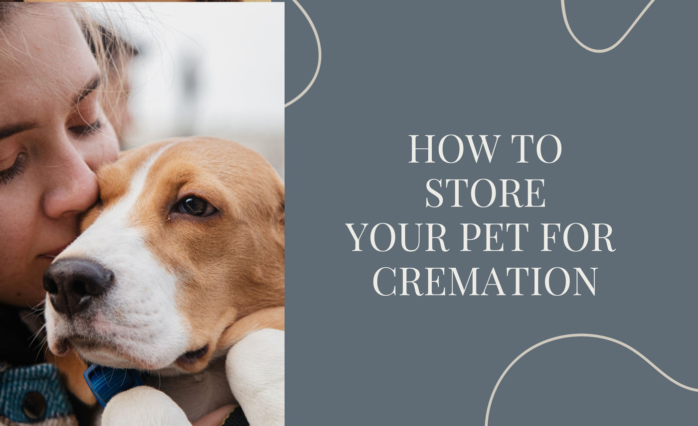 How Do I Store My Pet for Cremation? What to do if your pet dies at ...